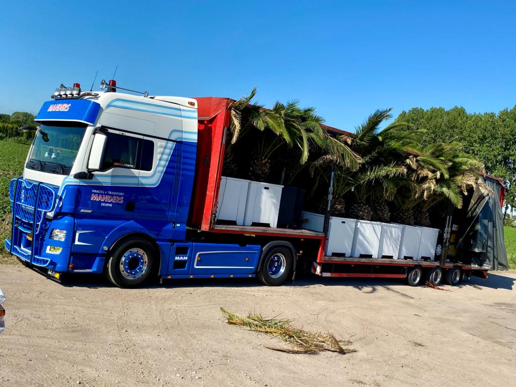 Volume transport (Transport) | Manders VOF